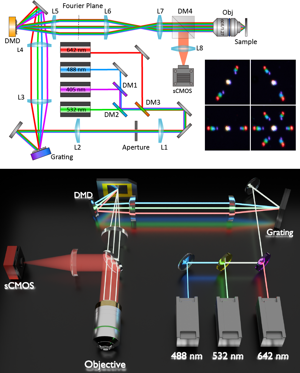 gDMD-SIM | DZ Gong